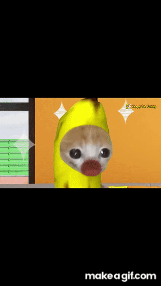 Cat Gif Funny Cartoon Memes - Infoupdate.org