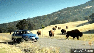 State Farm® Commercial "Magic Jingle Buffalo" :30 on Make a GIF