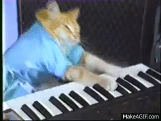 Keyboard Cat on Make a GIF