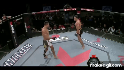 Best of Michel Pereira MMA Highlights. Acrobatic Fighter on Make a GIF