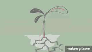 Moving Plant Gif Grow New Leaf Sticker #5363574