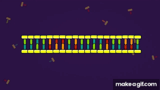 ¿Qué es la hipótesis del mundo de ARN? on Make a GIF