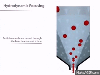 Fluorescence-activated cell sorting (FACS) on Make a GIF