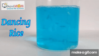 Dancing Rice | Fun Activity | Digital Mom on Make a GIF