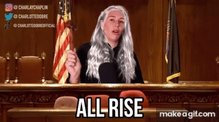 All rise for the honorable Judge Charlotte! on Make a GIF