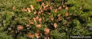 Chori Chori Chupke Chupke - Rag Rag Mein Is Terha (HD 720p Song) on ...