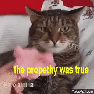 Cat Transcendence on Make a GIF
