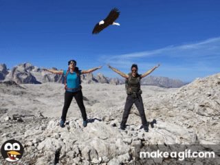 flap-flap on Make a GIF