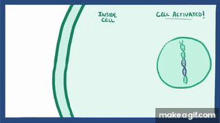HIV & AIDS - signs, symptoms, transmission, causes & pathology on Make ...
