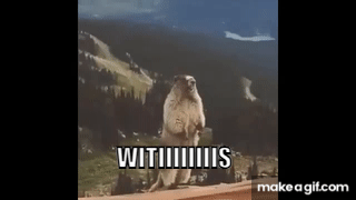 Screaming Beaver Meme Original | Meme Template on Make a GIF