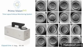 Primo Vision evo on Make a GIF