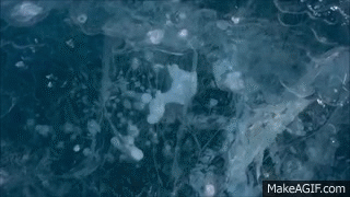 Abraham Lake Ice Bubble on Make a GIF