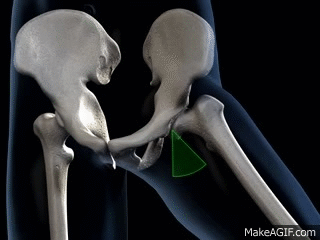 Hip Joint Range of Movement - 3D Medical Animation || ABP © on Make a GIF