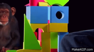 World's Most Genius Ape - Full Documentary on Make a GIF